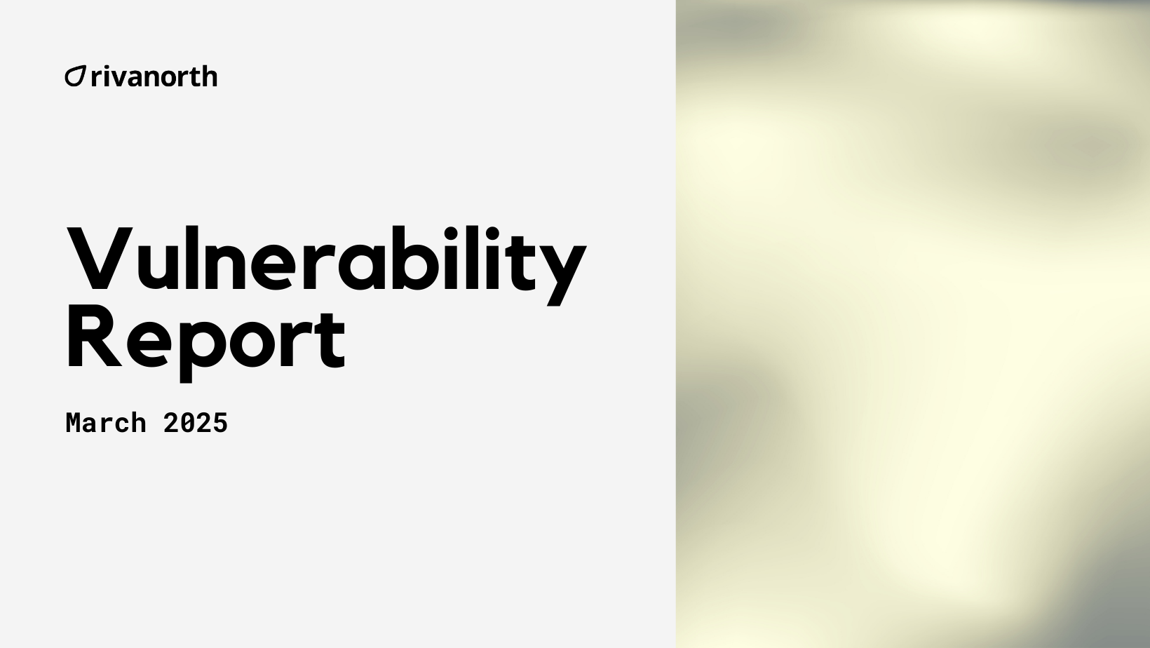 Vulnerability Report: March 2025
